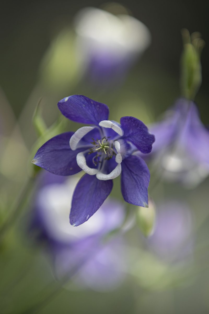 여신s의 톡톡튀는 삶