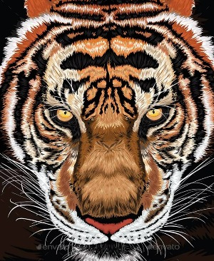 보름달 :: 보름달