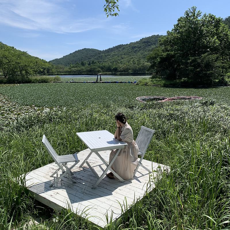 Develop Me :: Develop Me