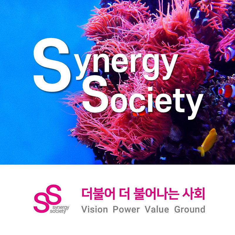 synergy society SYSO