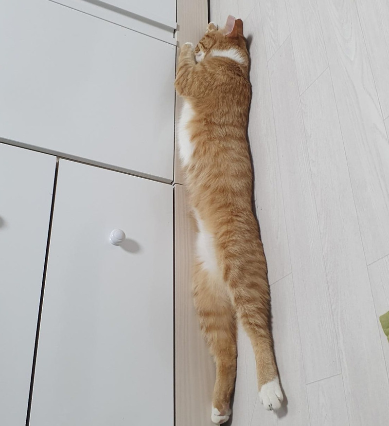 한 줄기 빛 :: 한 줄기 빛