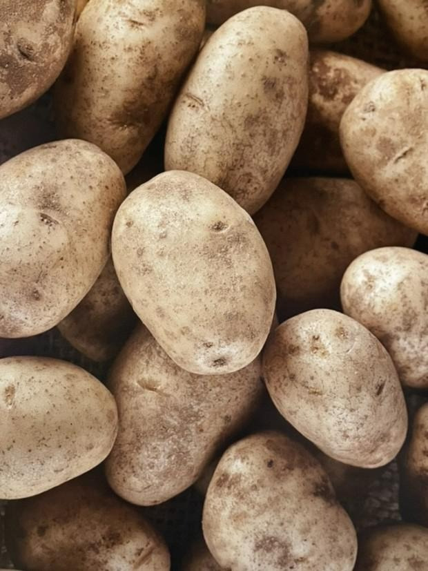 printf("Hello POTATO World");