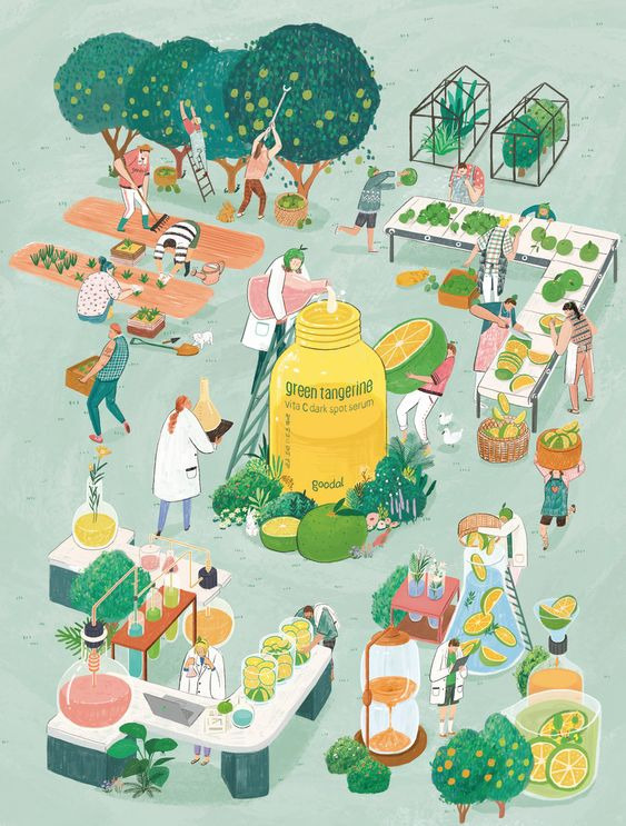 호랑꾼 정책 정보