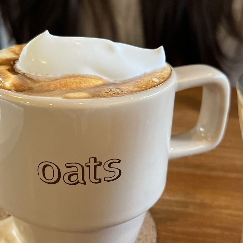 타치오(Tachio) 스토리