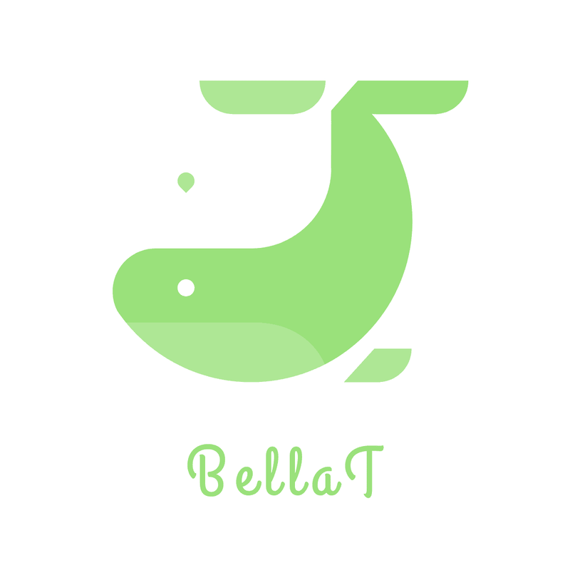 추구미 갓생 벨라쌤