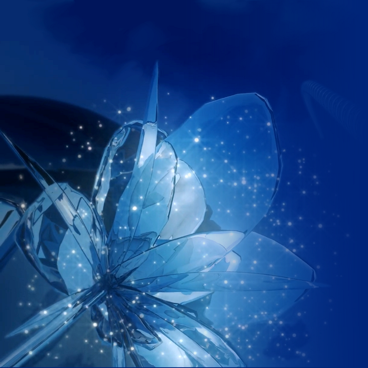 SILENT BLUE Photographic Studio