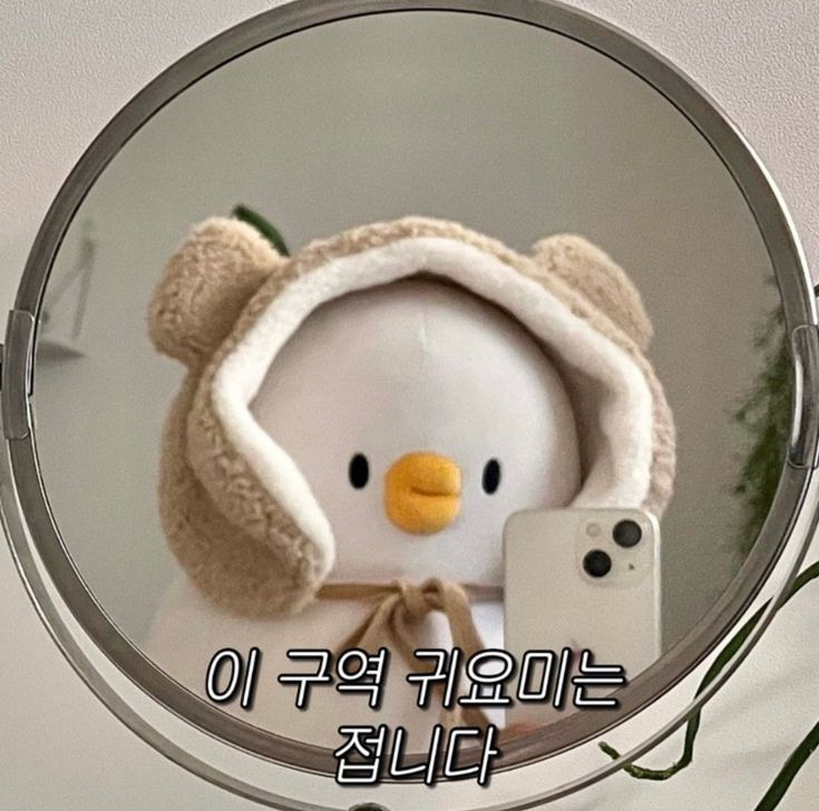 동글둥글 김수댕 — 동글둥글 김수댕