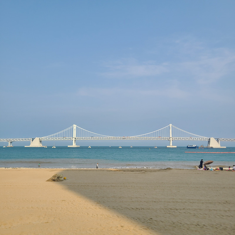 simiya의 유익한 글들모임