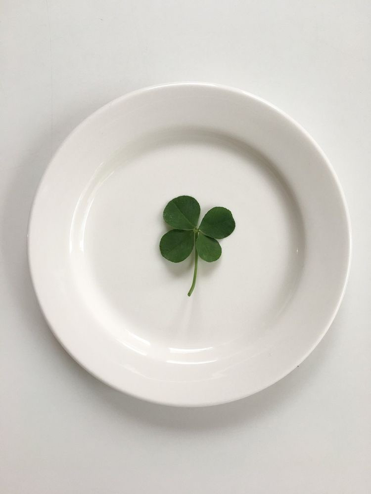 clover-log 님의 블로그 :: clover-log 님의 블로그