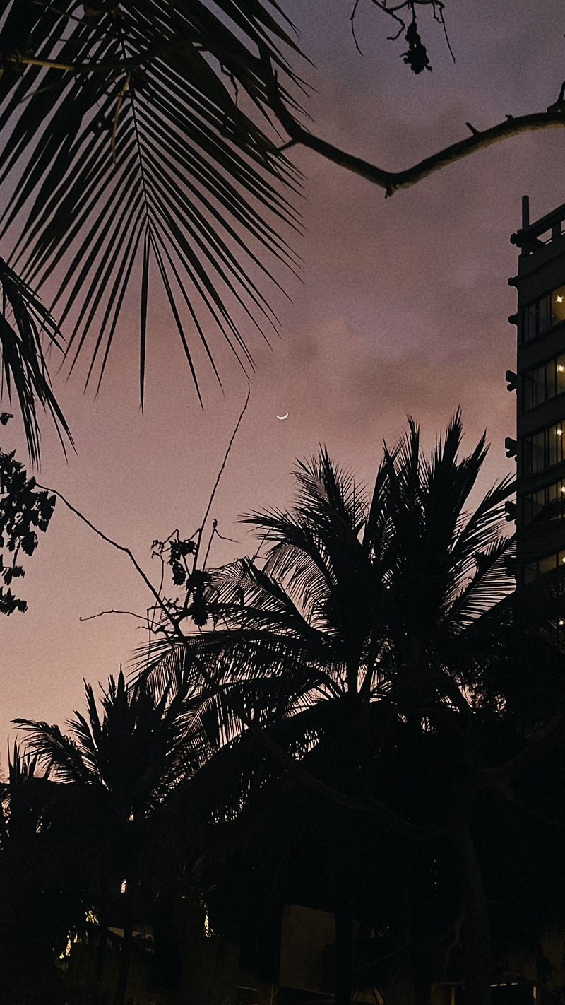 ming-gu 님의 블로그