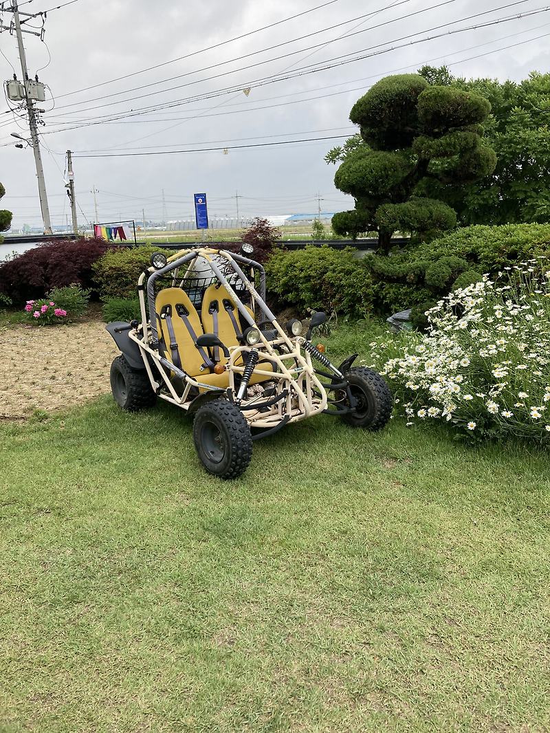 DRL-Daily Review Lab