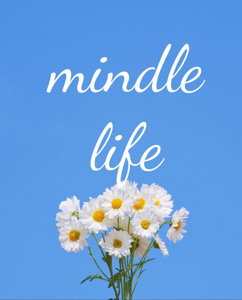 mindle_life님의 블로그
