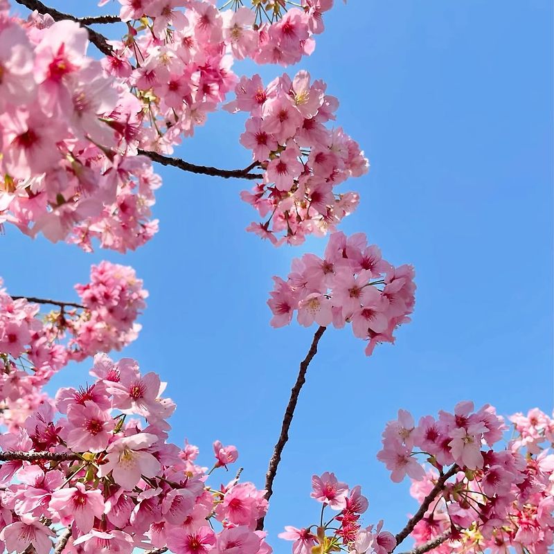 tistory-3 님의 블로그