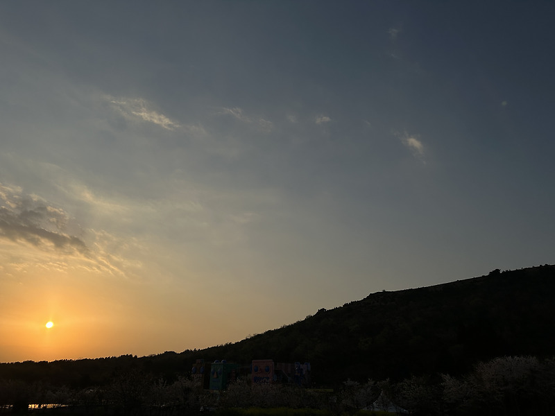 오하생