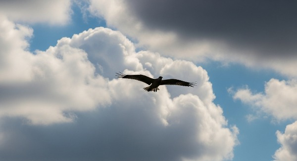 다함께 으라차차!!