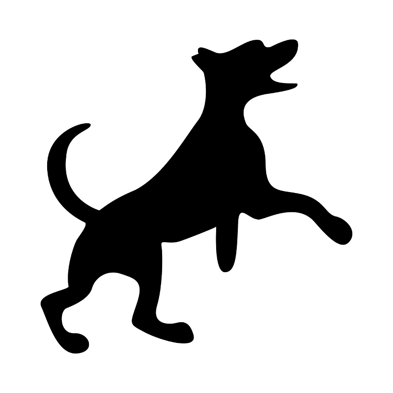 ddeonggae 님의 블로그