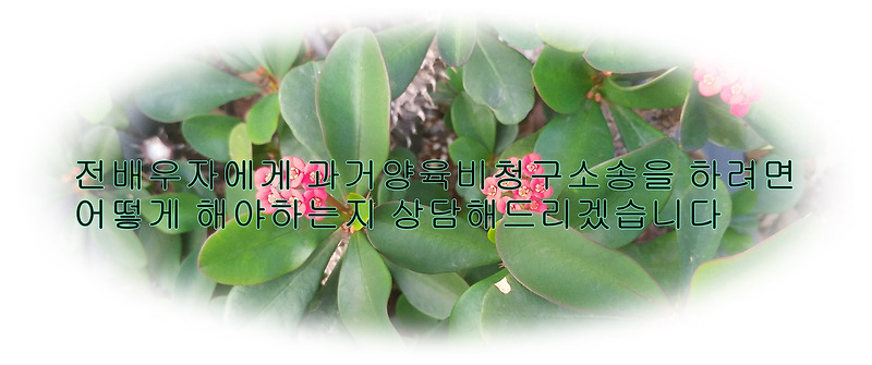 오래전에 이혼하고 양육비를 받지 못했을 때 성인이 된 자식 과거 양육비 청구 소장 접수 송달 재판 진행 화해권고 합의 조정 승소