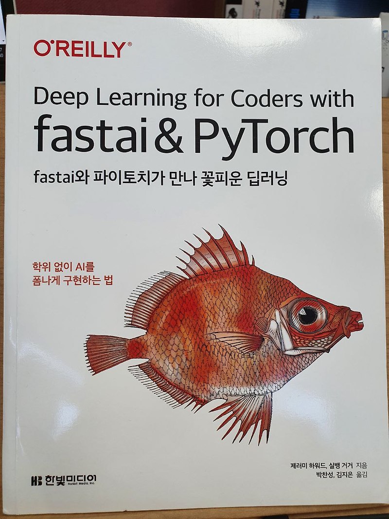 Oreilly Deep Learning For Coders With Fastai And Pytorch 한빛미디어 ♨ 미르의 널부러진 세상~