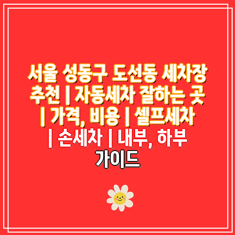 서울 성동구 도선동 세차장 추천 자동세차 잘하는 곳 가격 비용 셀프세차 손세차 내부 하부 가이드