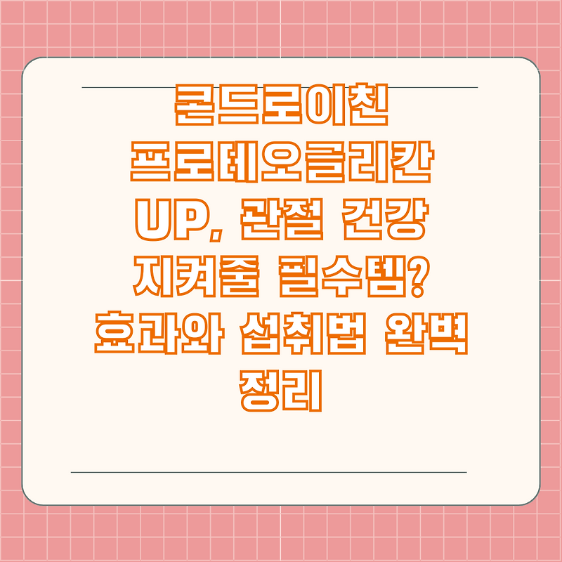 콘드로이친 프로테오글리칸 Up 관절 건강 지켜줄 필수템 효과와 섭취법 완벽 정리