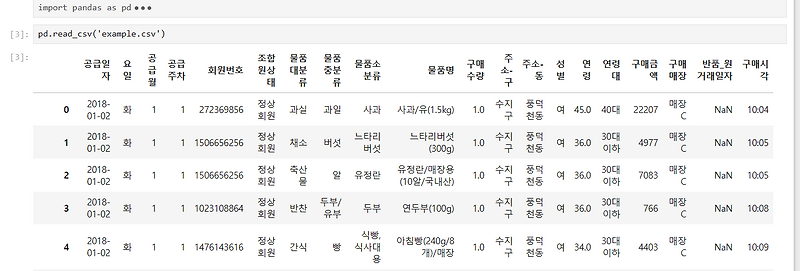 Python Pandas 실무 데이터 분석데이터 불러오기 데이터 요약형태 파악데이터 추출