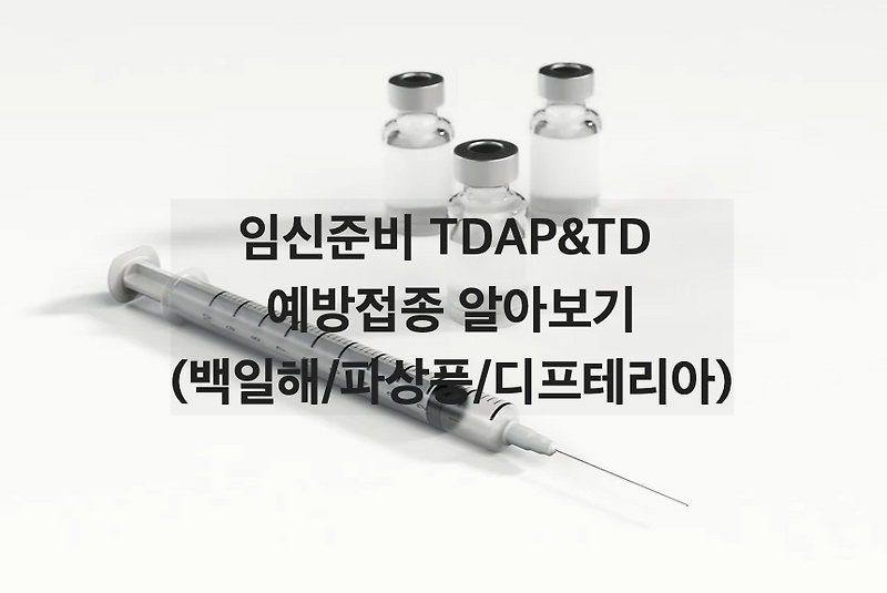 임신준비 임산부임신준비중 Tdap Td 백일해파상풍디프테리아 예방접종백신 에 대해서