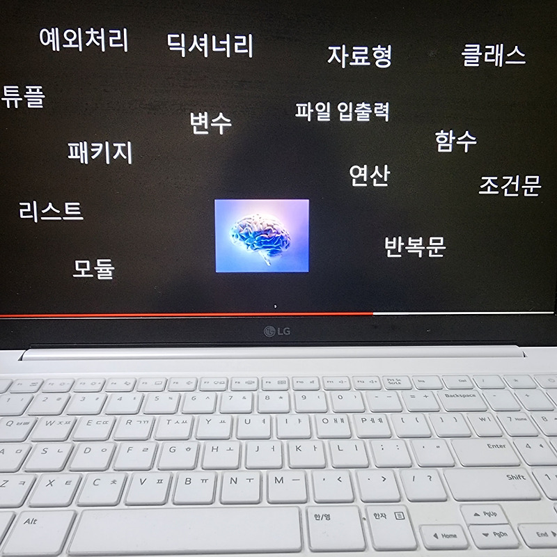 패스트캠퍼스 환급챌린지 12일차 미션 2월 12일 파이썬으로 할 수 있는 모든 것 With 47개 프로젝트 초격차 패키지 수강 후기