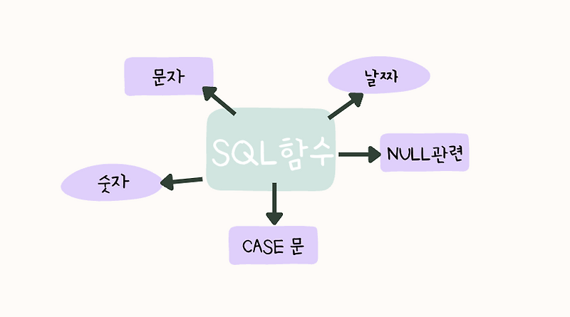 Sqld데이터 모델과 Sql6함수문자 숫자 날짜 변환 Null Case