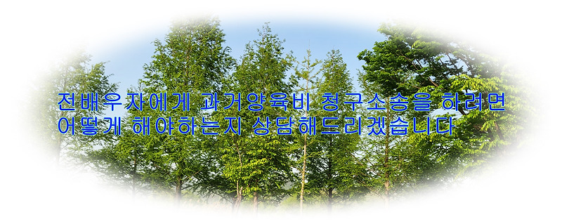 전남편과 협의이혼하고 양육비를 한번도 받지 못했을때 성인이 된 자식의 과거양육비청구소장접수송달 소득재산확인 승소 심판문 받아서 돈받는 방법 상담 과거양육비청구소송 진행