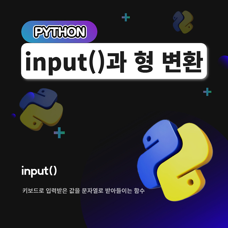 Python 파이썬의 Input 함수와 데이터 형 변환 입력 처리와 유용한 팁