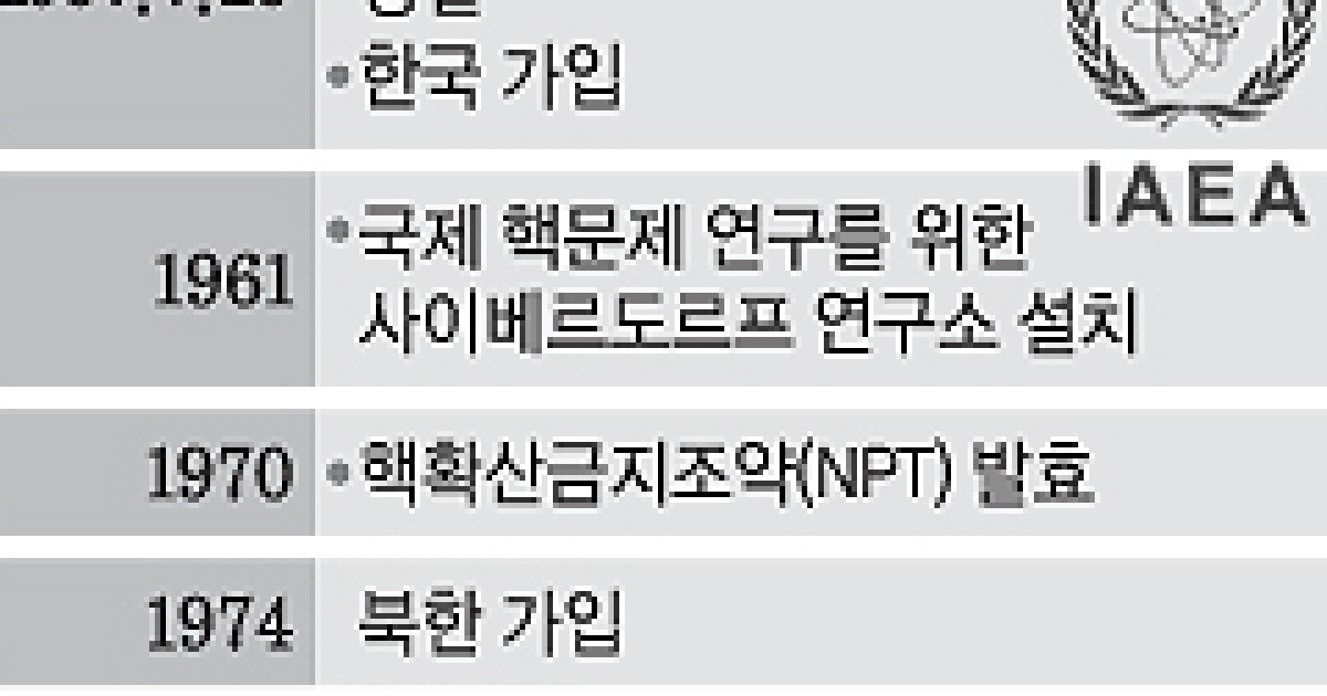 IAEA, NPT 통해 비핵화 주도