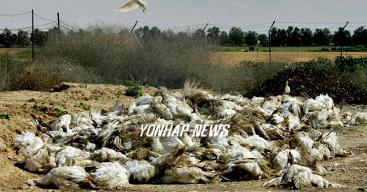 YONHAP NO-794 SHIK (AP)