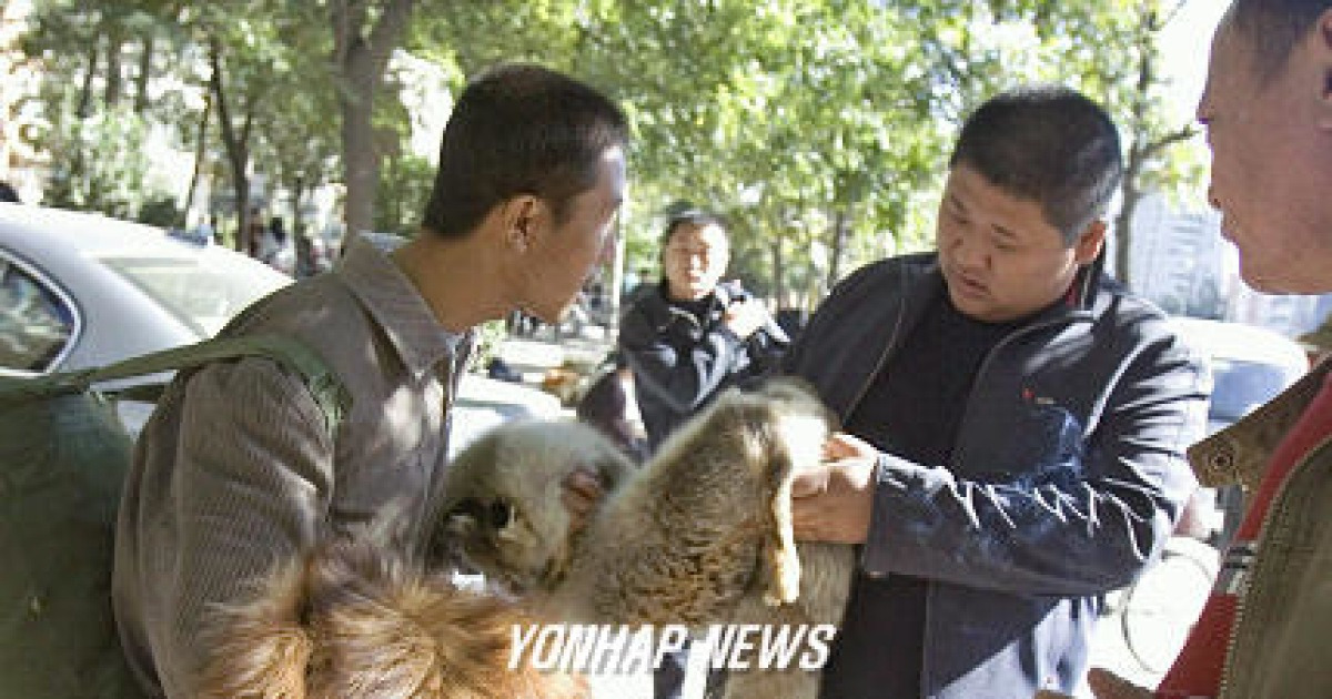 CHINA TIGER SKIN TRADE