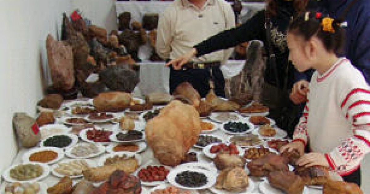 #(1)CHINA-XIANGFAN-STONE "DISHES" (CN) (XINHUA)