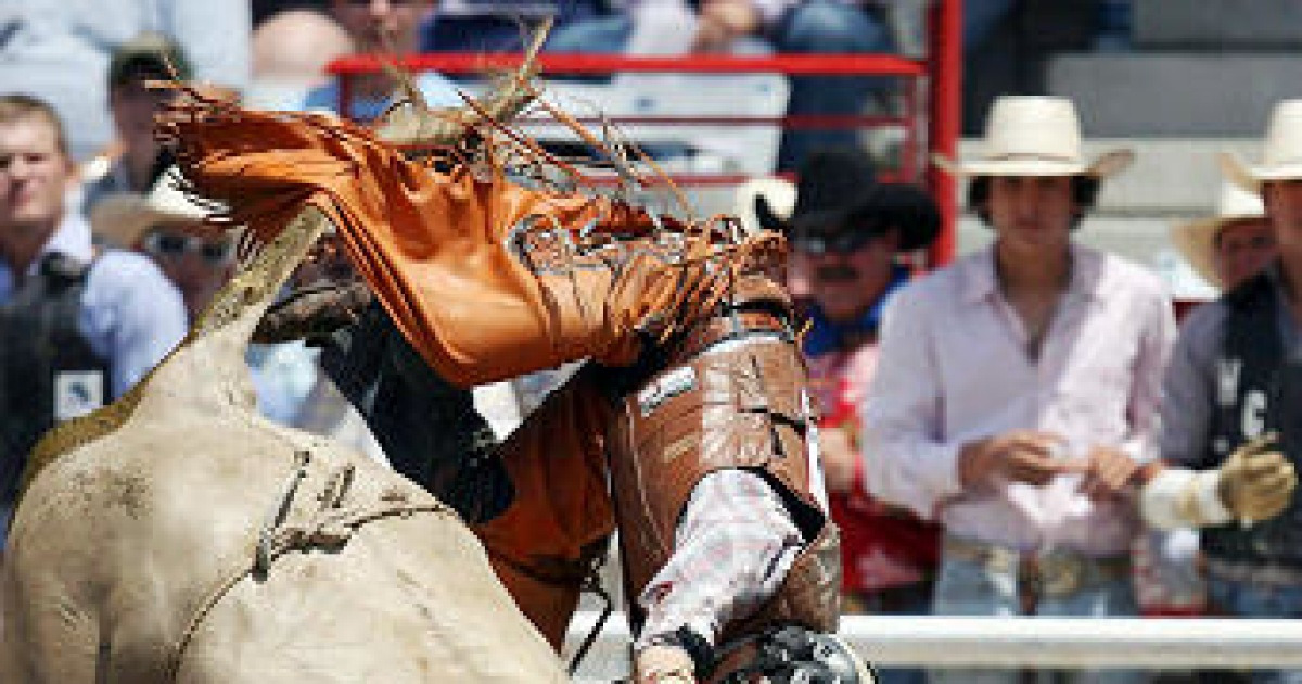 Frontier Days Rodeo (AP)