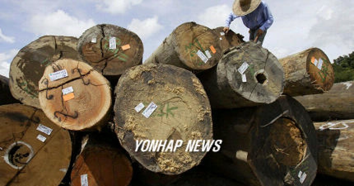 Malaysia Timber Trouble (AP)