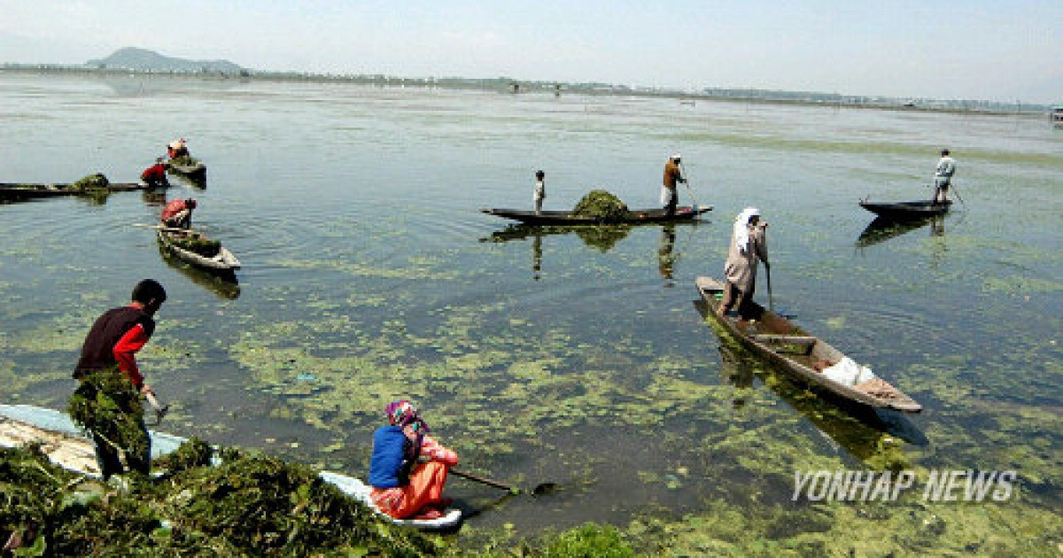 INDIA KASHMIR DAL LAKE POLLUTION