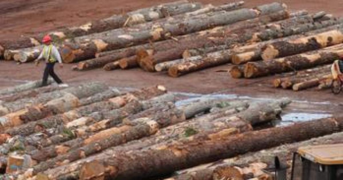 CANADA FEATURE PACKAGE FEATURE PACKAGE FORESTRY LOGGING