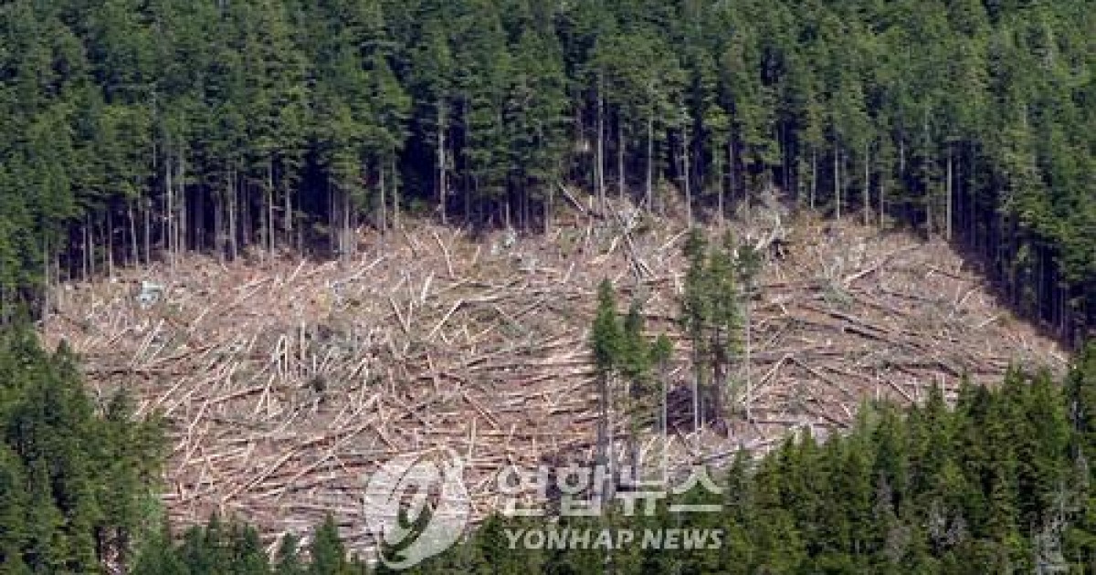 CANADA FEATURE PACKAGE FEATURE PACKAGE FORESTRY LOGGING