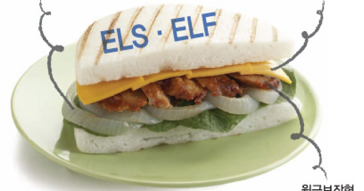 ELS·ELF "안전하게 짭짤한 수익 맛보세요"