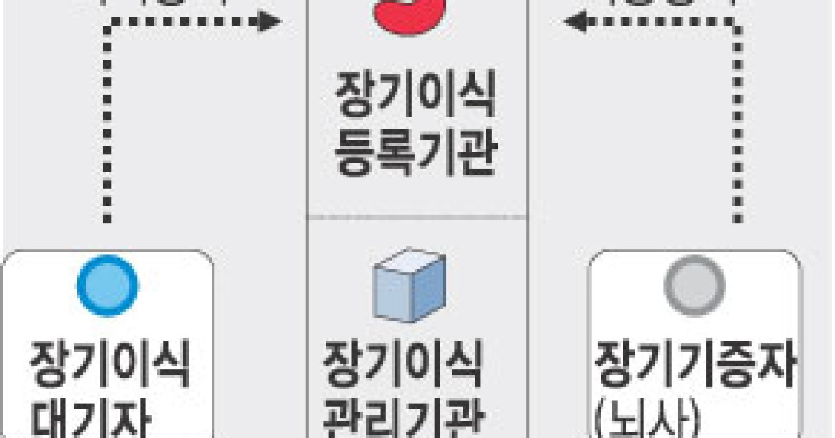 뇌사자 장기기증 절차 간소화