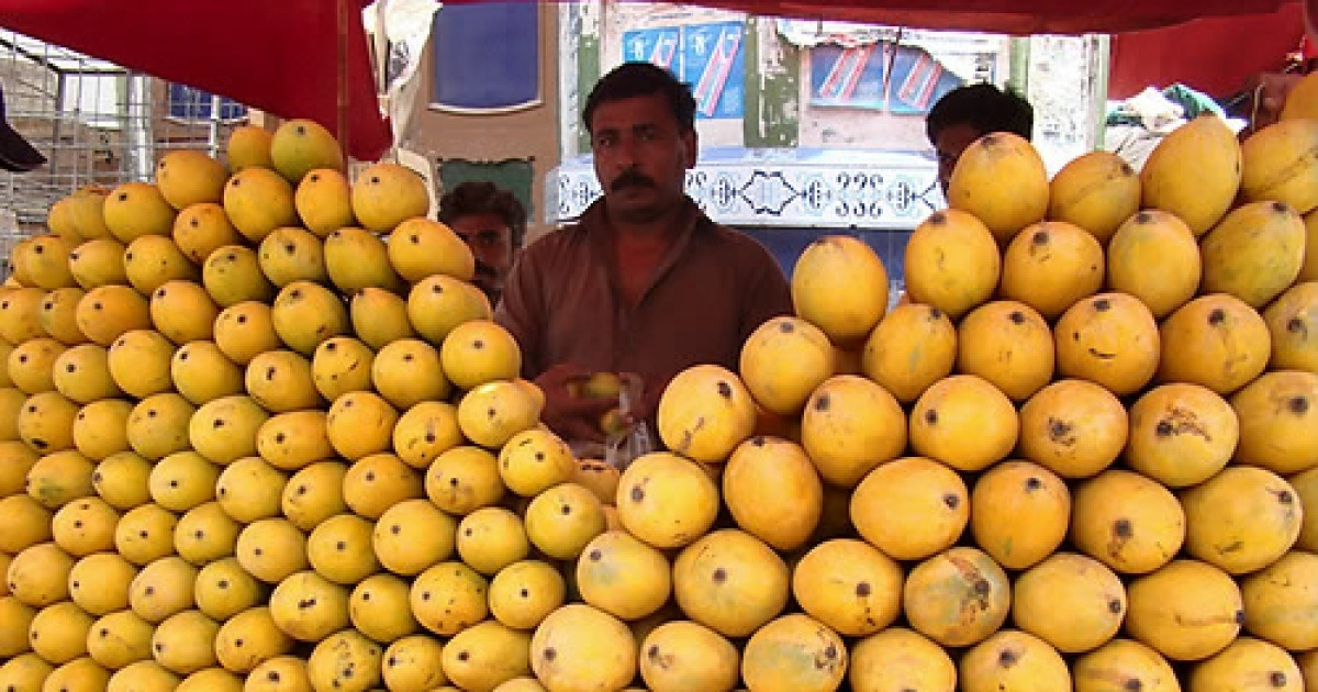 PAKISTAN MANGOS