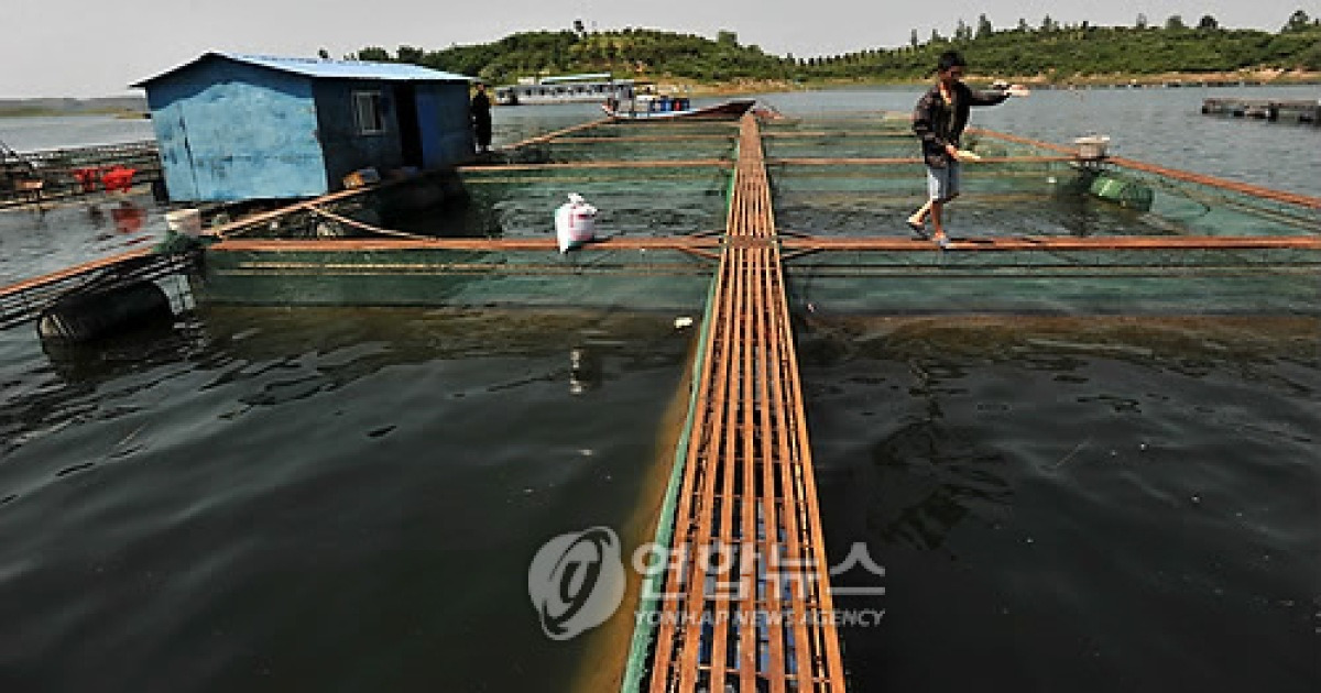 CHINA FISH FARMING