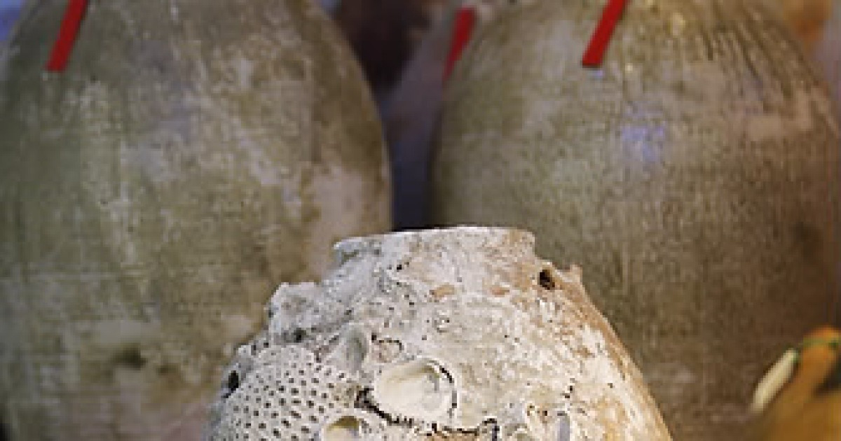 SINGAPORE TANG SHIPWRECK TREASURE