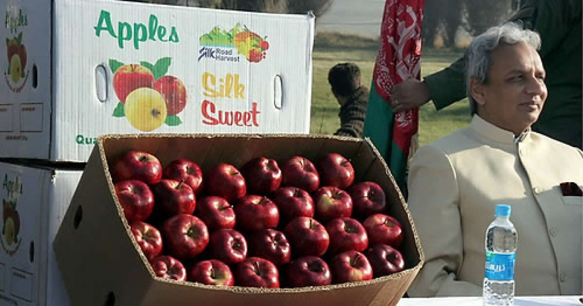 AFGHANISTAN INDIA APPLES EXPORT