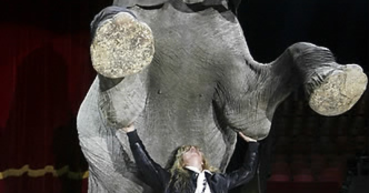 SPAIN CIRCUS ACCIDENT