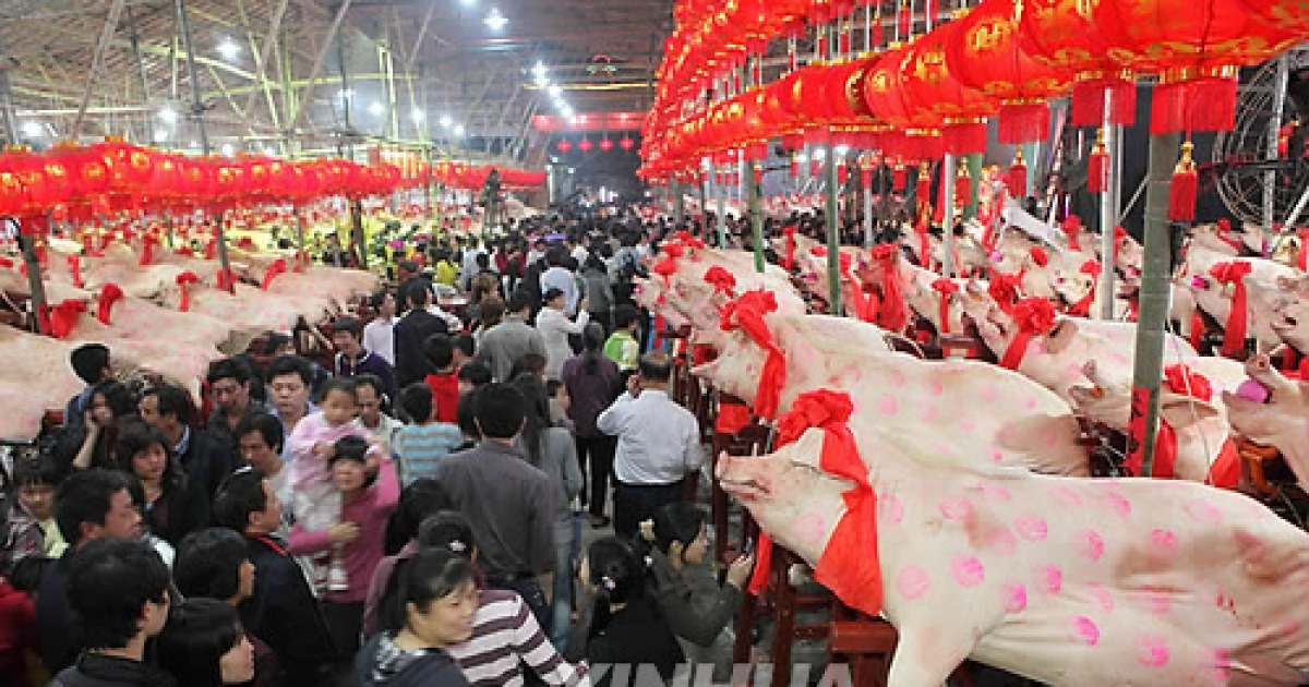 #(3)CHINA-GUANGDONG-FOLK FAIR-PIG CONTEST (CN)