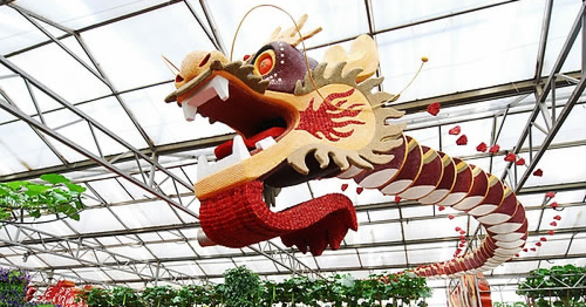 #CHINA-SHANDONG-VEGETABLE TOUR-MAY 1 VACATION-ECOLOGICAL TIDE (CN)