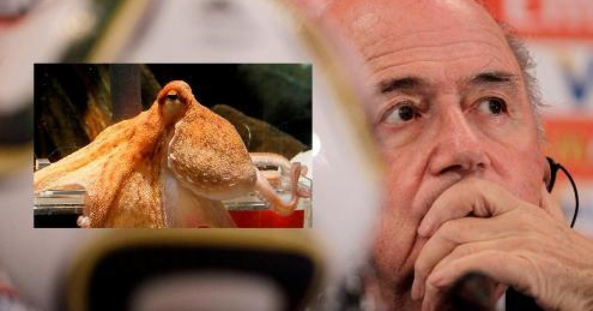 Viva Espana, says octopus Paul