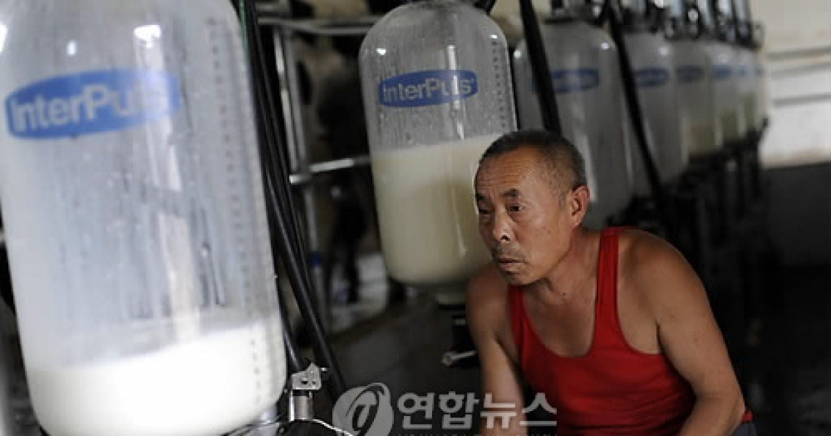 CHINA AGRICULTURE MELAMINE MILK SCANDAL